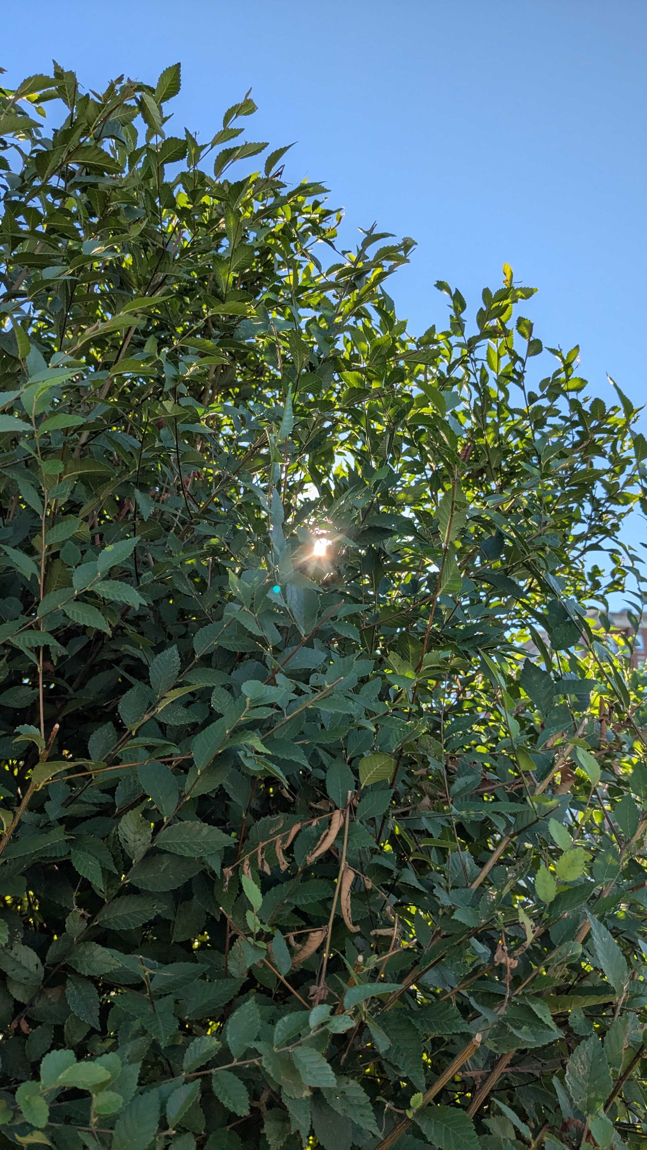 Facts & Interpretation – SONYA A WATSON